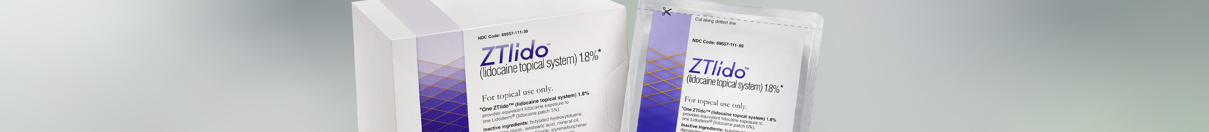 Technology - Scilex Holding